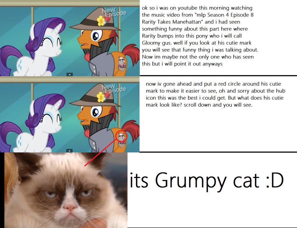 Grumpy Cat Pony