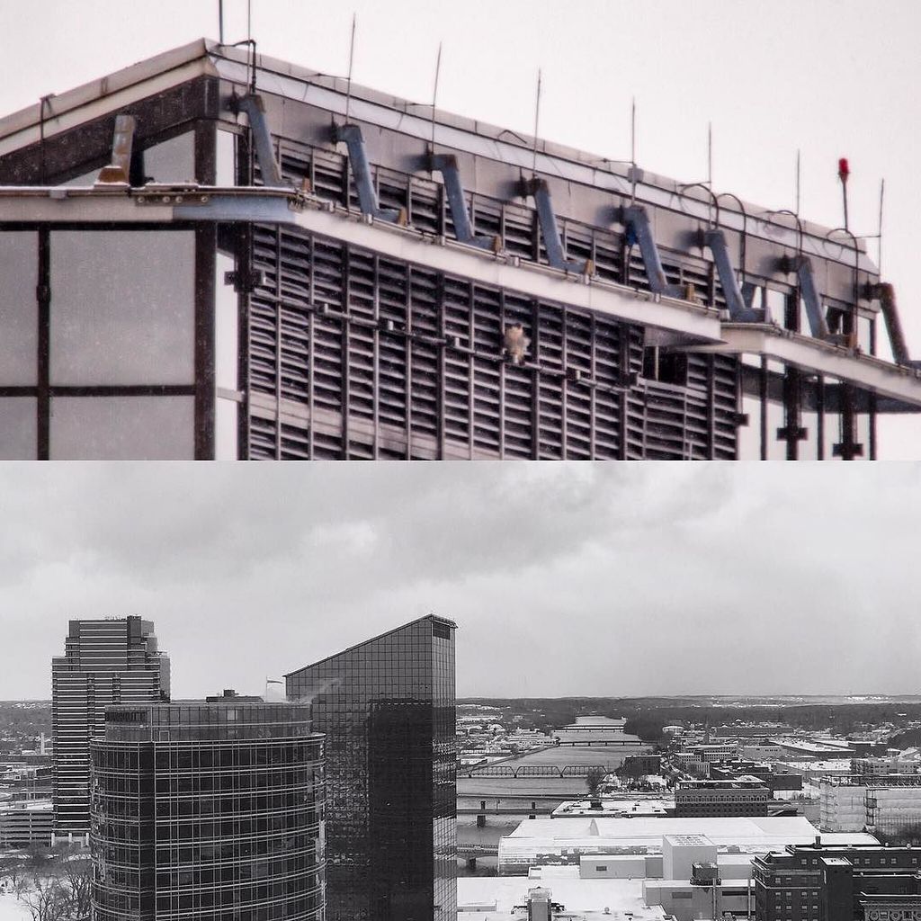 yeahTHATgrandrapids (@yeahTHATgr) / Twitter