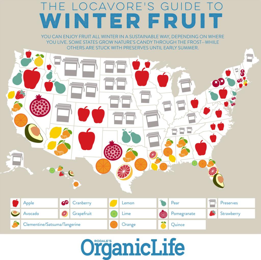 winter fruits chart