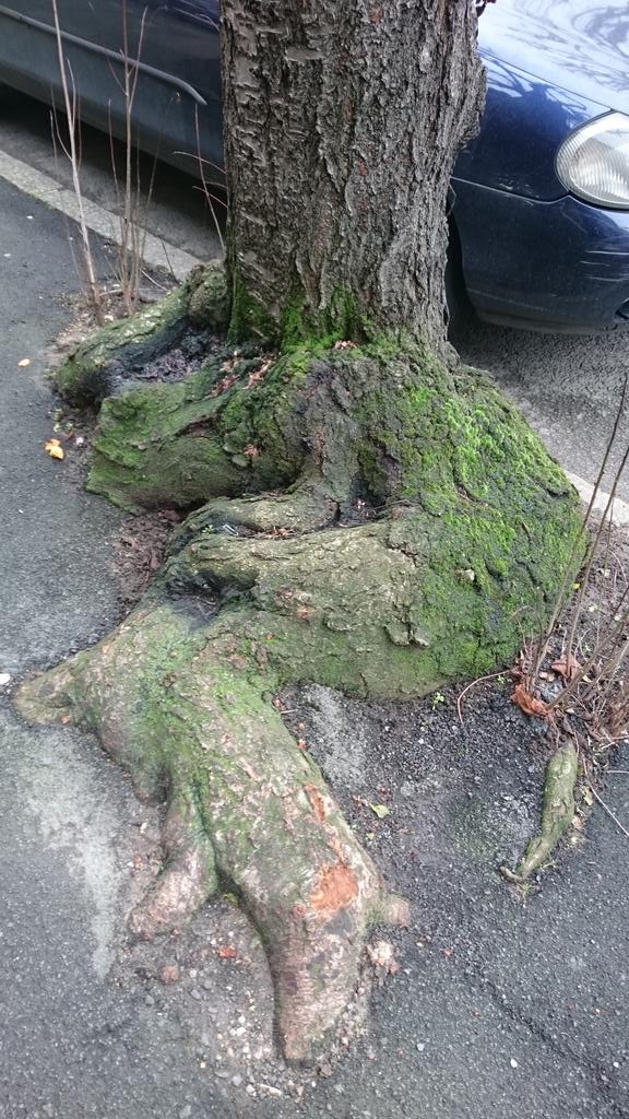 Voracity (Worm Case 53 Quest) | Page 127 | Sufficient Velocity