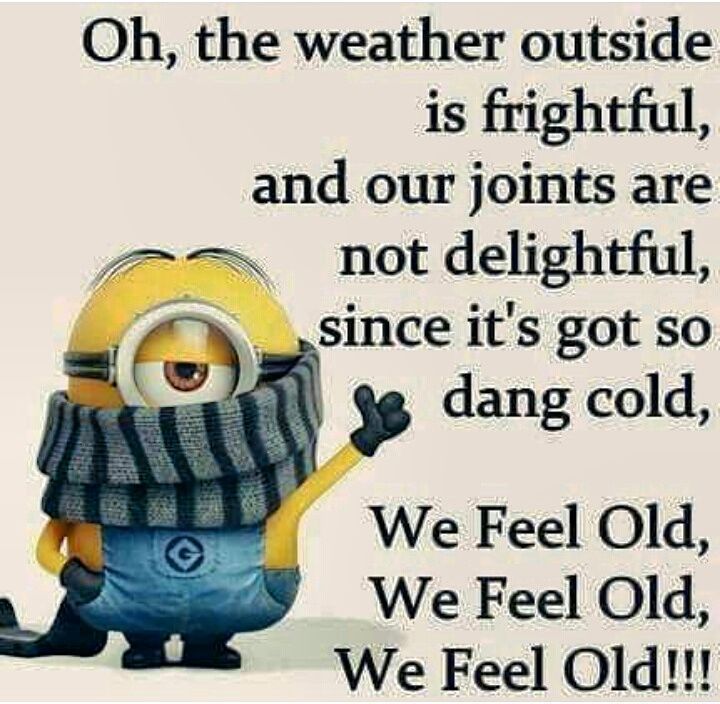 Frozen Minion