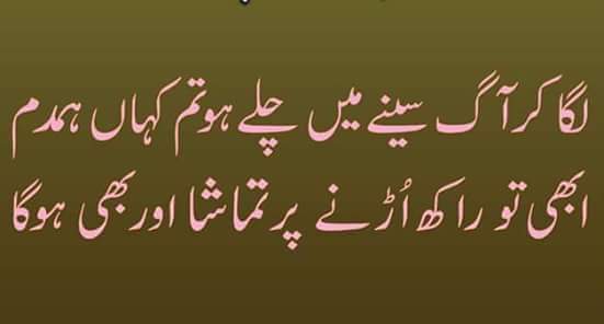 Malik Toheed Awan (@MTA_MalikToheed) | Twitter