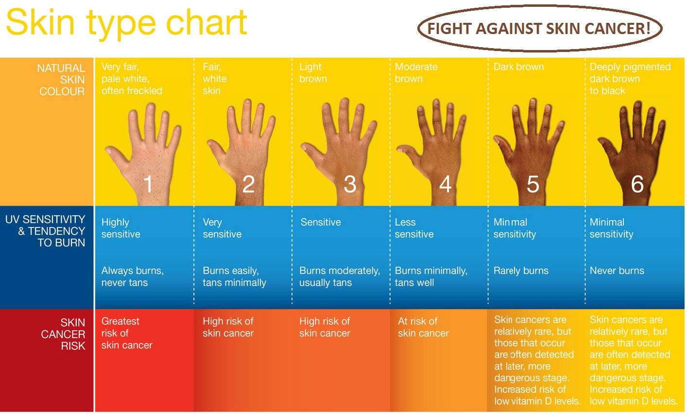Skin Cancer Types Chart
