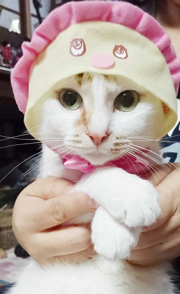 ONE OK RYOCK(@ize009) - Twilog (ツイログ)