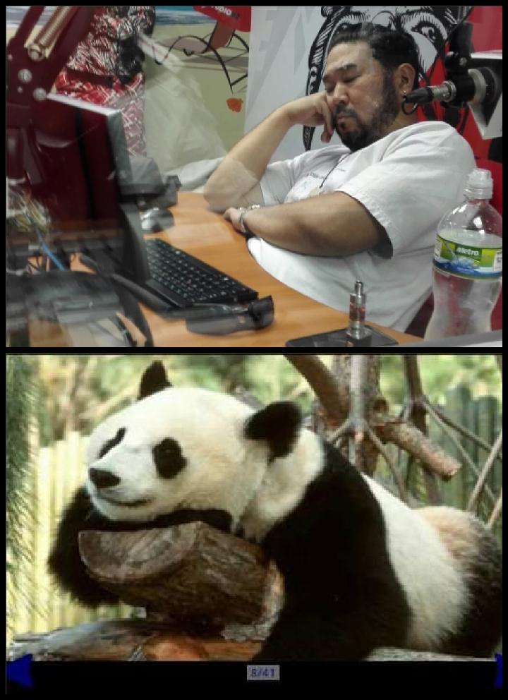 Angry Panda Office