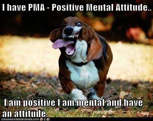 Positive Mental Attitude Memes I Exhibit A Positive Mental Attitude