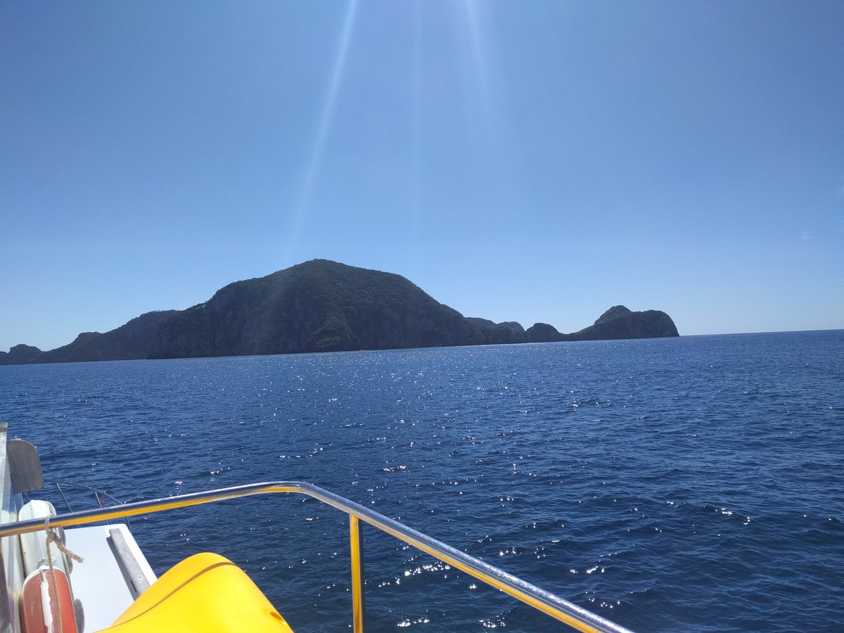 Simar Kalra (@__simar__) | Twitter