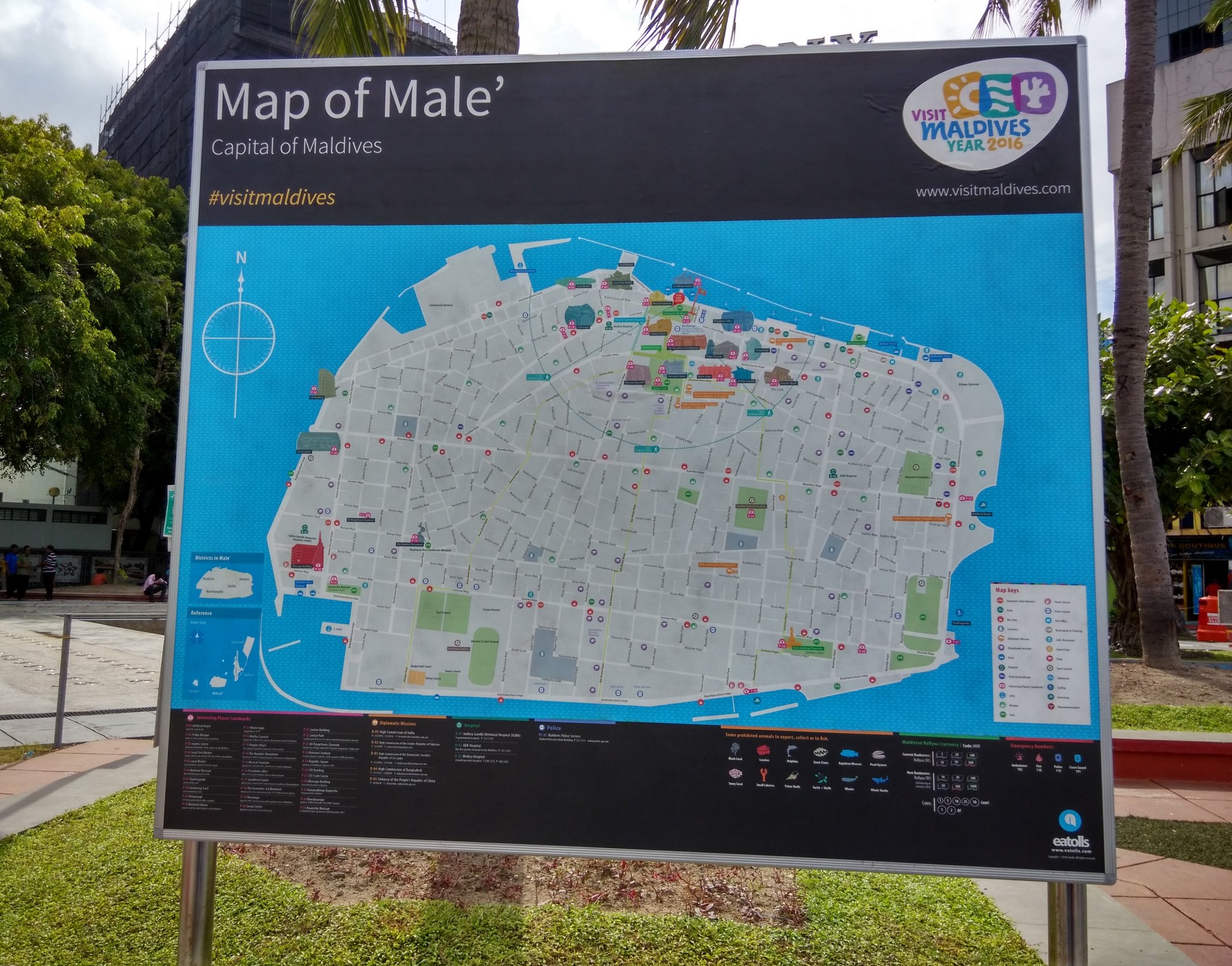 Male City Map