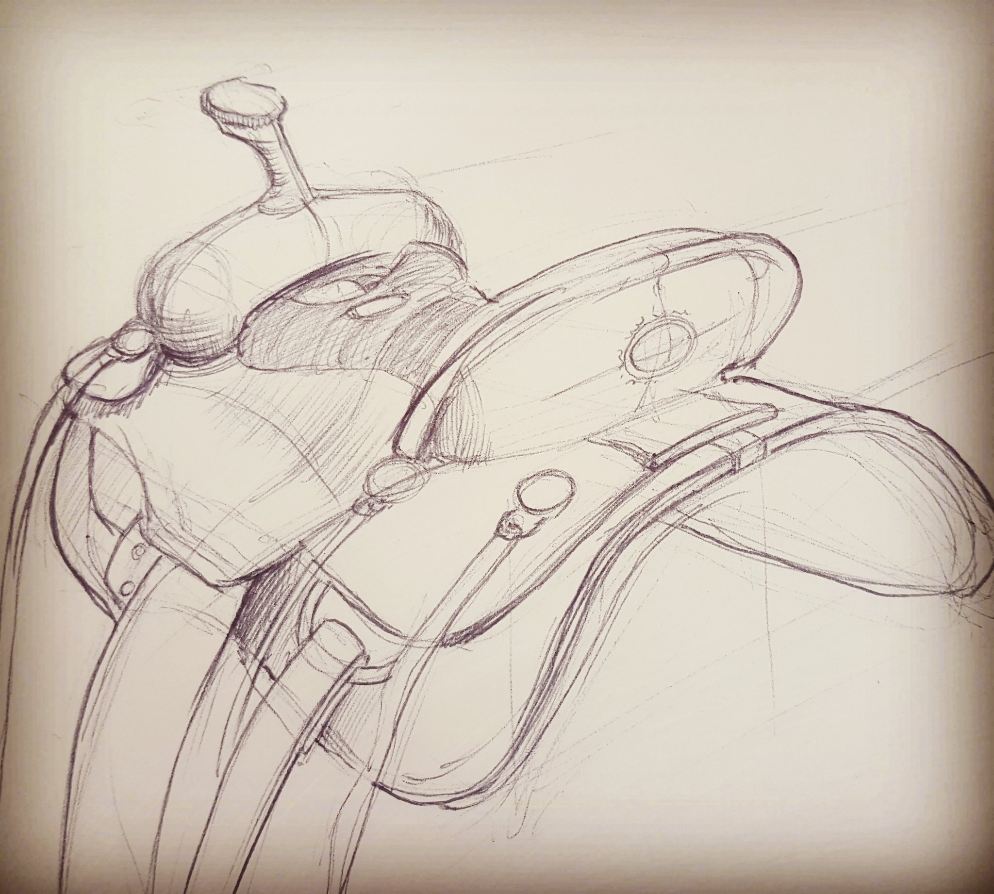 Saddle Sketch