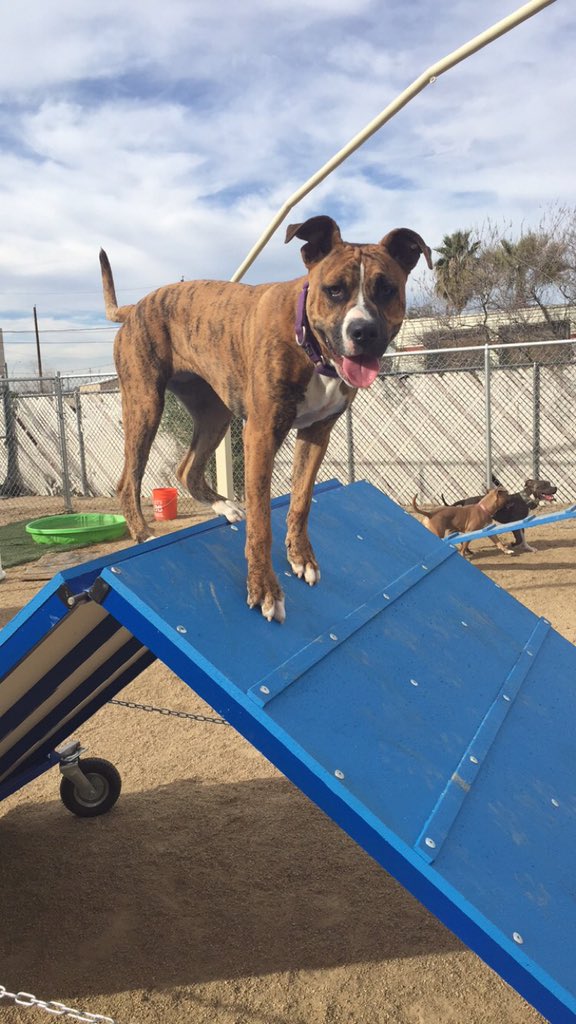 Project 22 (@project22_) | Twitter