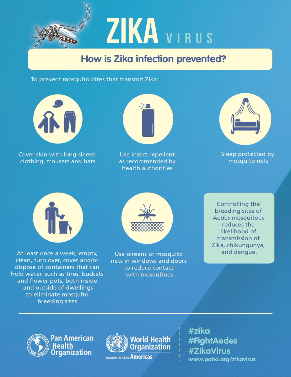 Infographic Zika