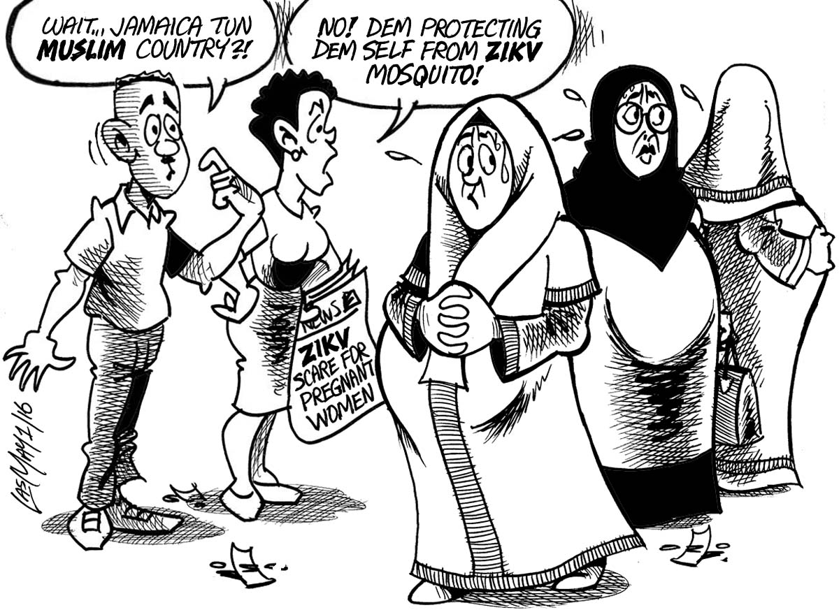 Muslim Women Political Cartoon
