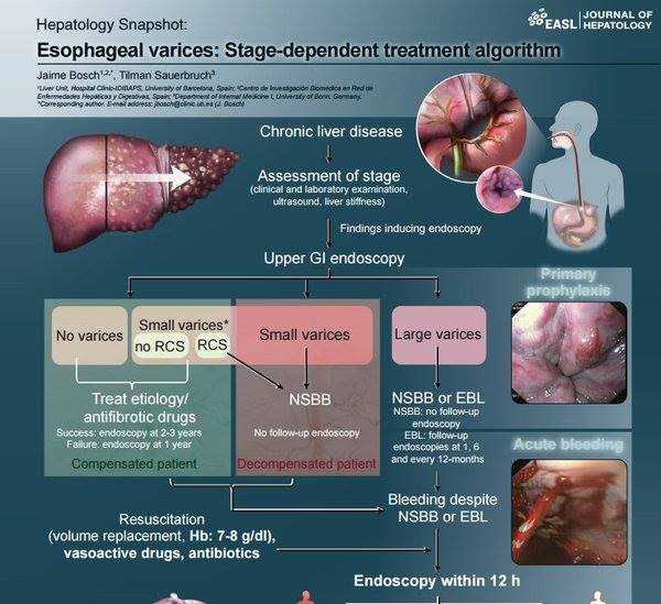 Esophageal Bleeding Cirrhosis