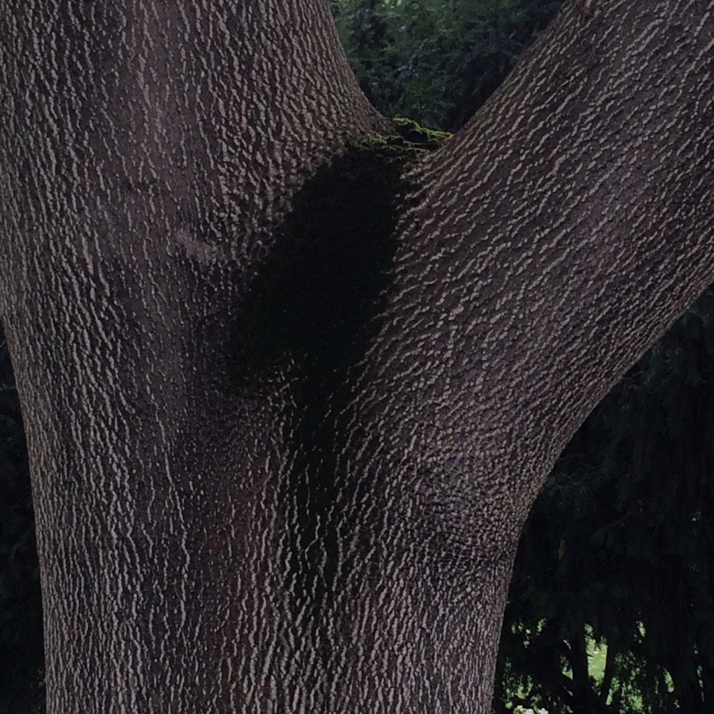 Peter Marlow | Magnum Photos