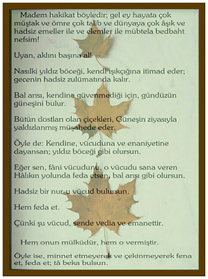 erkan yoldas (@erknylds) | Twitter erkan yoldas (@erknylds) | Twitter