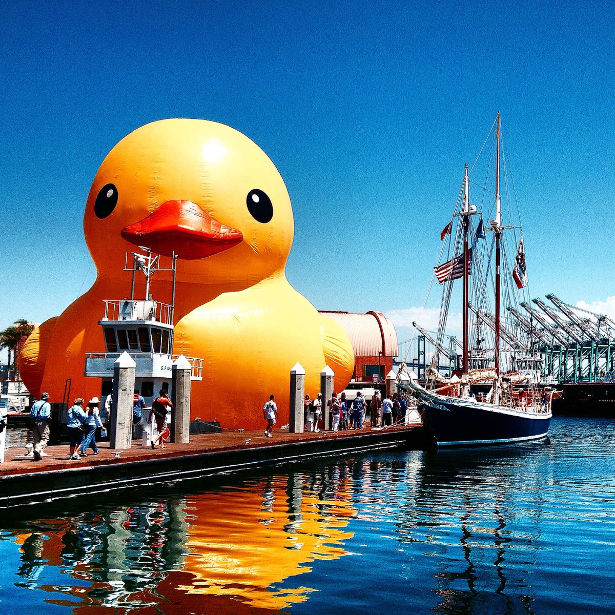 World's largest rubber duck is sailing into Duluth this summer for the ...