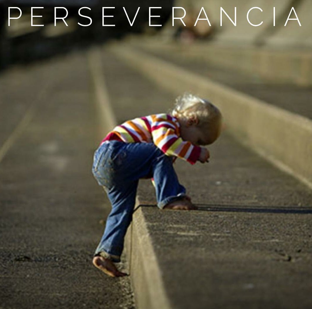 Perseverancia: todas las noticias de última hora, fotos y vídeos en ...