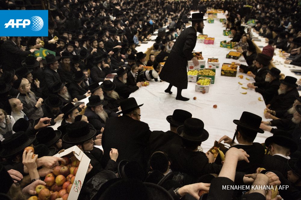 Ultra-Orthodox Belz Hasidim Jews celebrate the feast of "Tu Bishvat ...