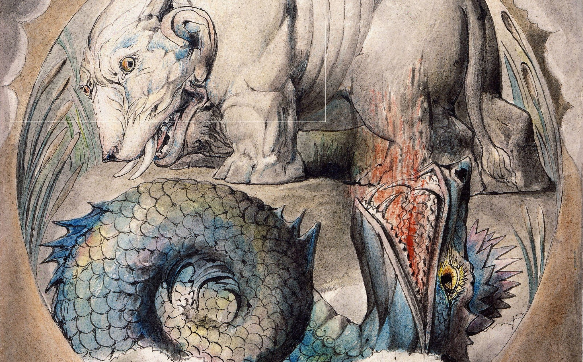 Behemoth Leviathan Bible Not A Dinosaur By Mitch Chase Biblical