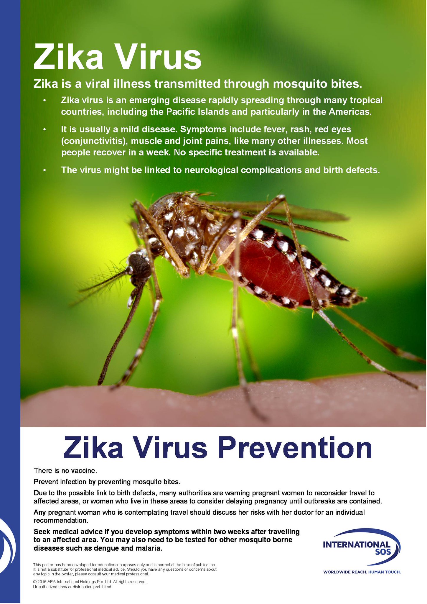International SOS on Twitter: "#Zika virus poster: key information and ...