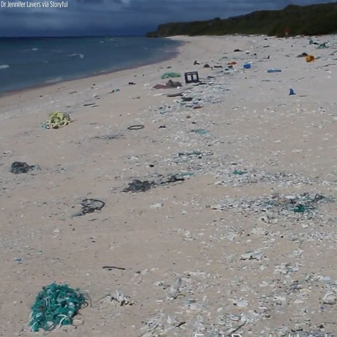 This remote island is covered with the highest density of trash in the ...