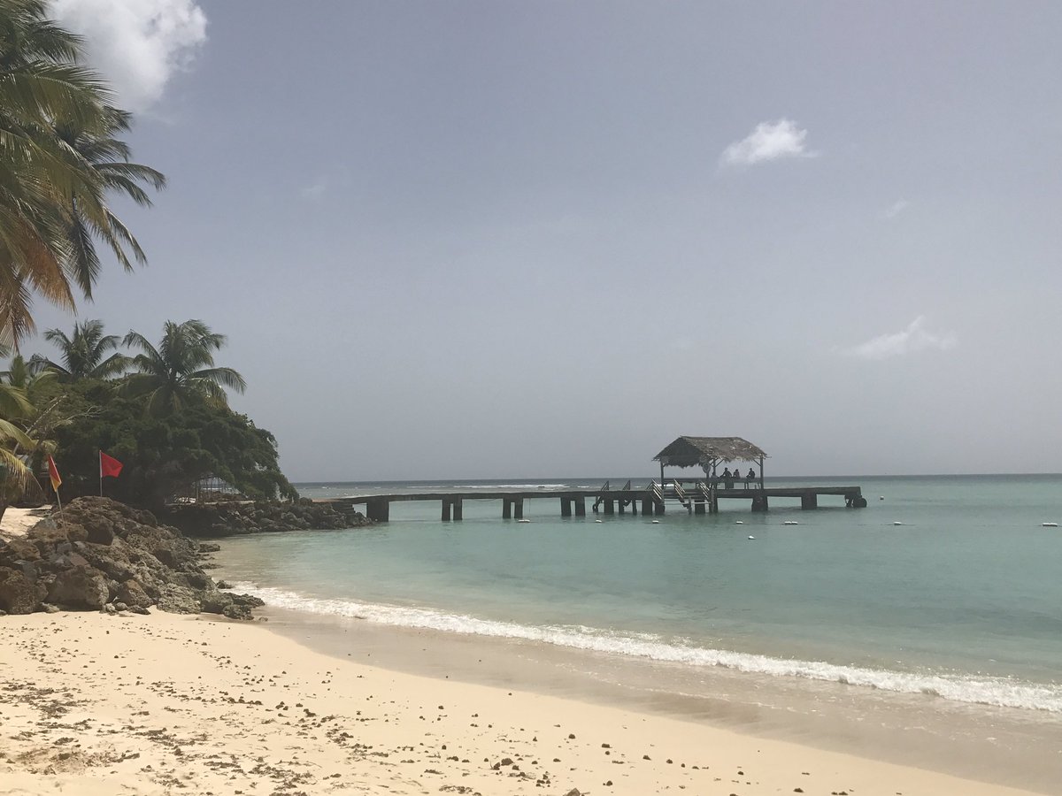 Mandy Lu Ristow (@MandyLuTX) | Twitter