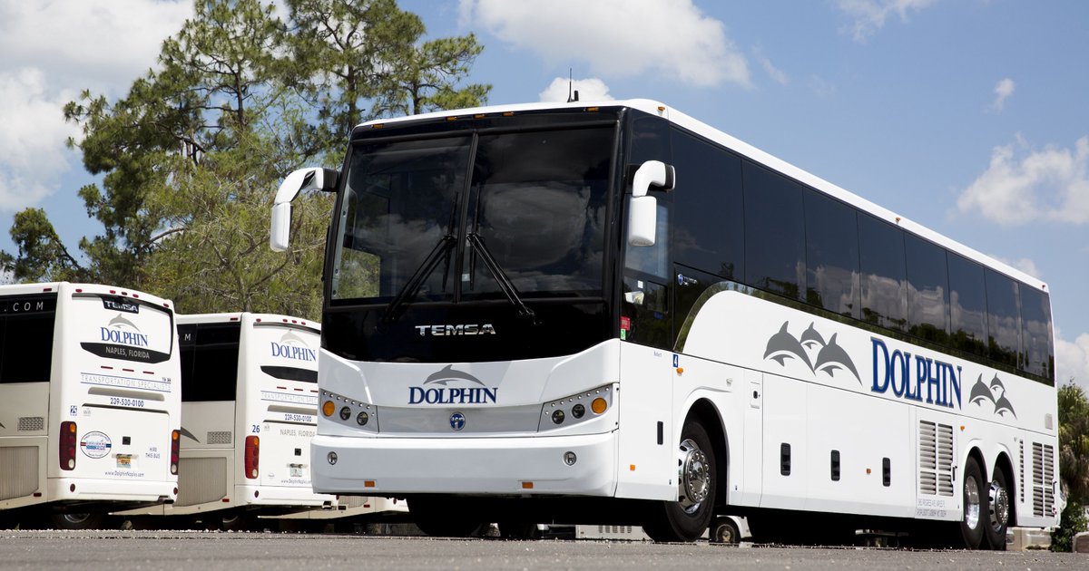 Photos: Dolphin Transportation adds nine buses to fleet | Naples Daily ...