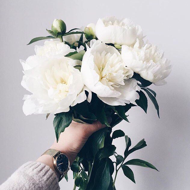 Sergey Ivanenko (@Sergey_0002) | Twitter