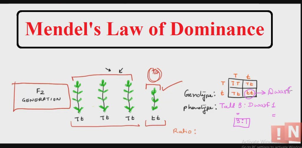 Law Of Dominance Genetics: Law Of Dominance, Independent Assortment