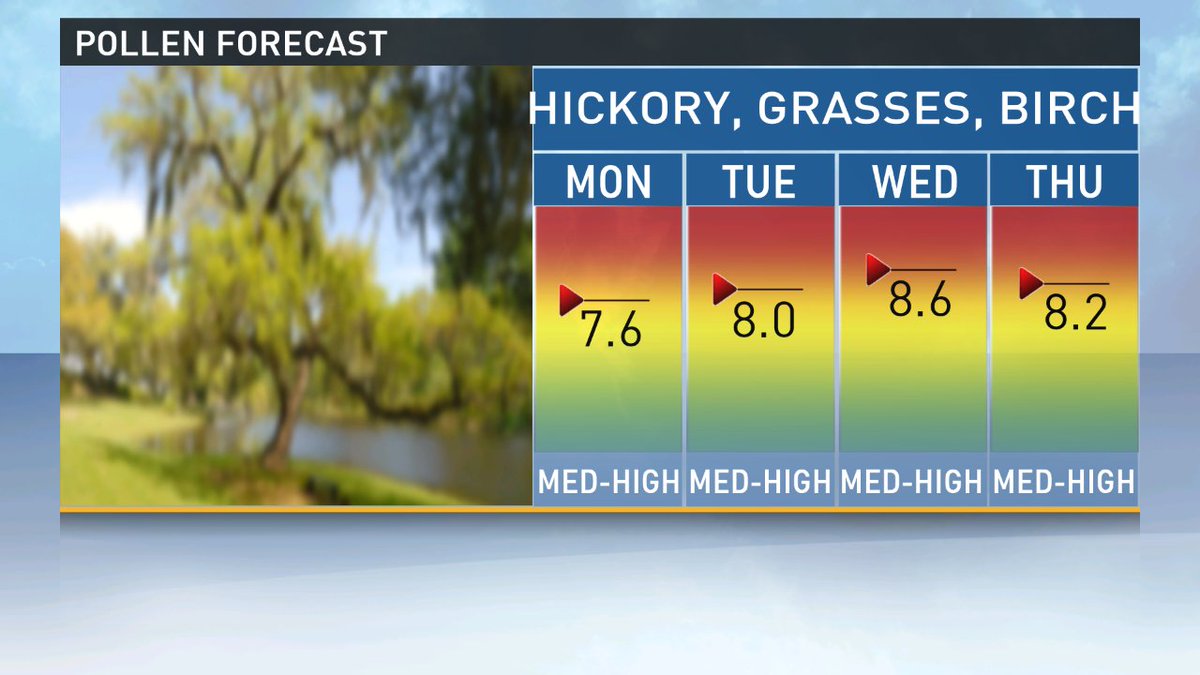Columbia, SC: Starting to transition from spring to summer pollen ...