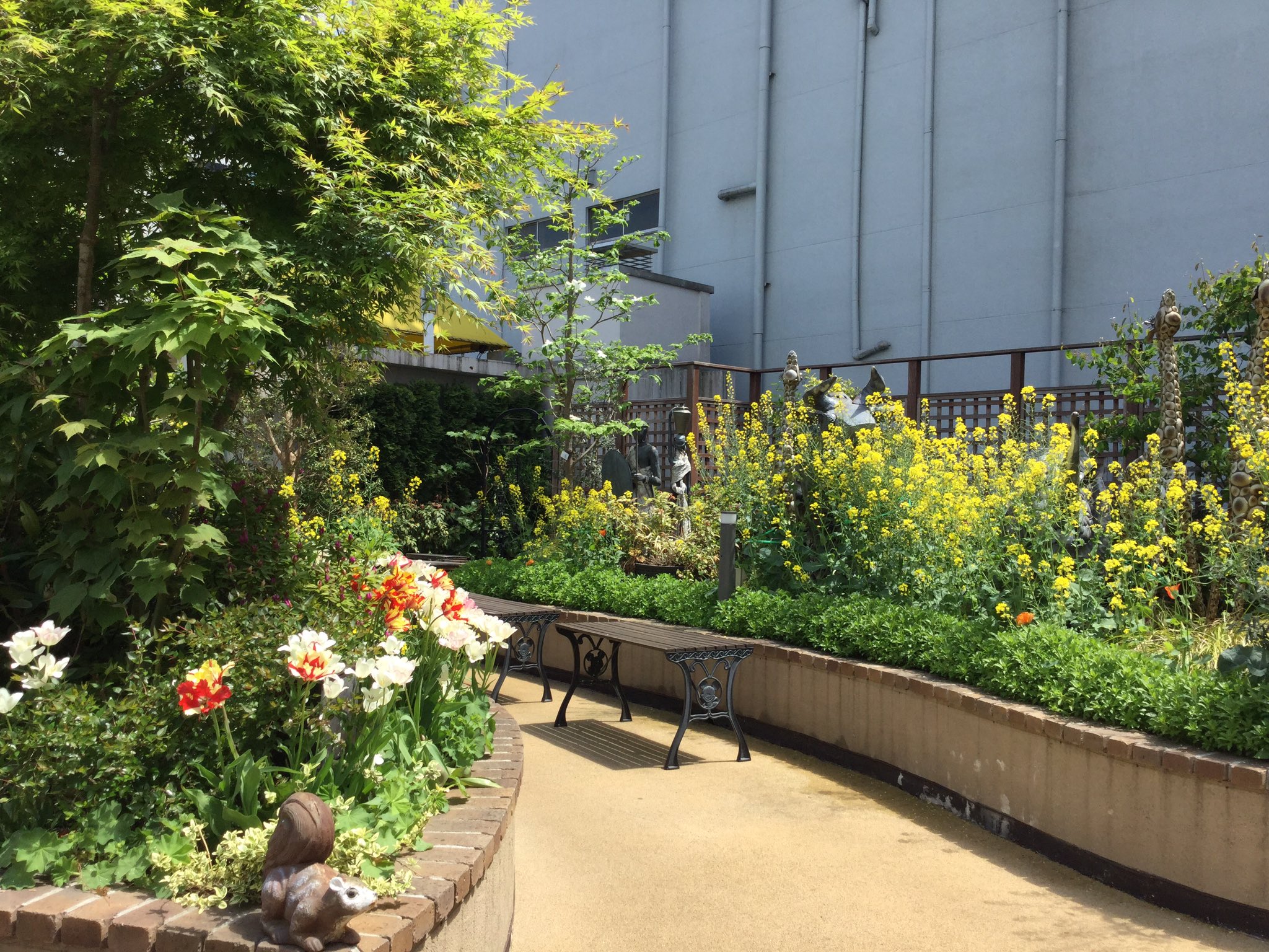 EBeanS(イービーンズ)公式 on Twitter: "本日も🎶 GWガーデンライブ 🎶スタートです🤗 お天気も良くて暖かく、最高ですよ🍻 4階杜のガーデンテラスで12:00〜始まりました ...