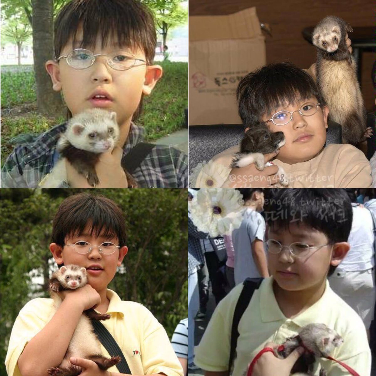Exo Chanyeol Pre Debut Ferret