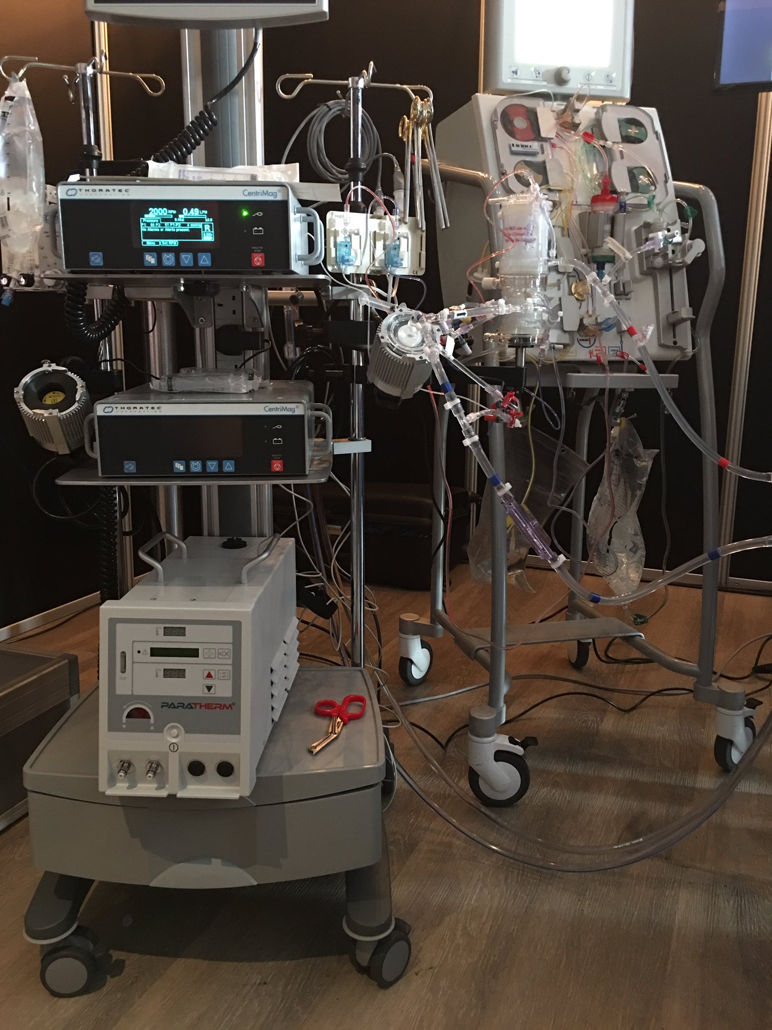 Ecmo Circuit