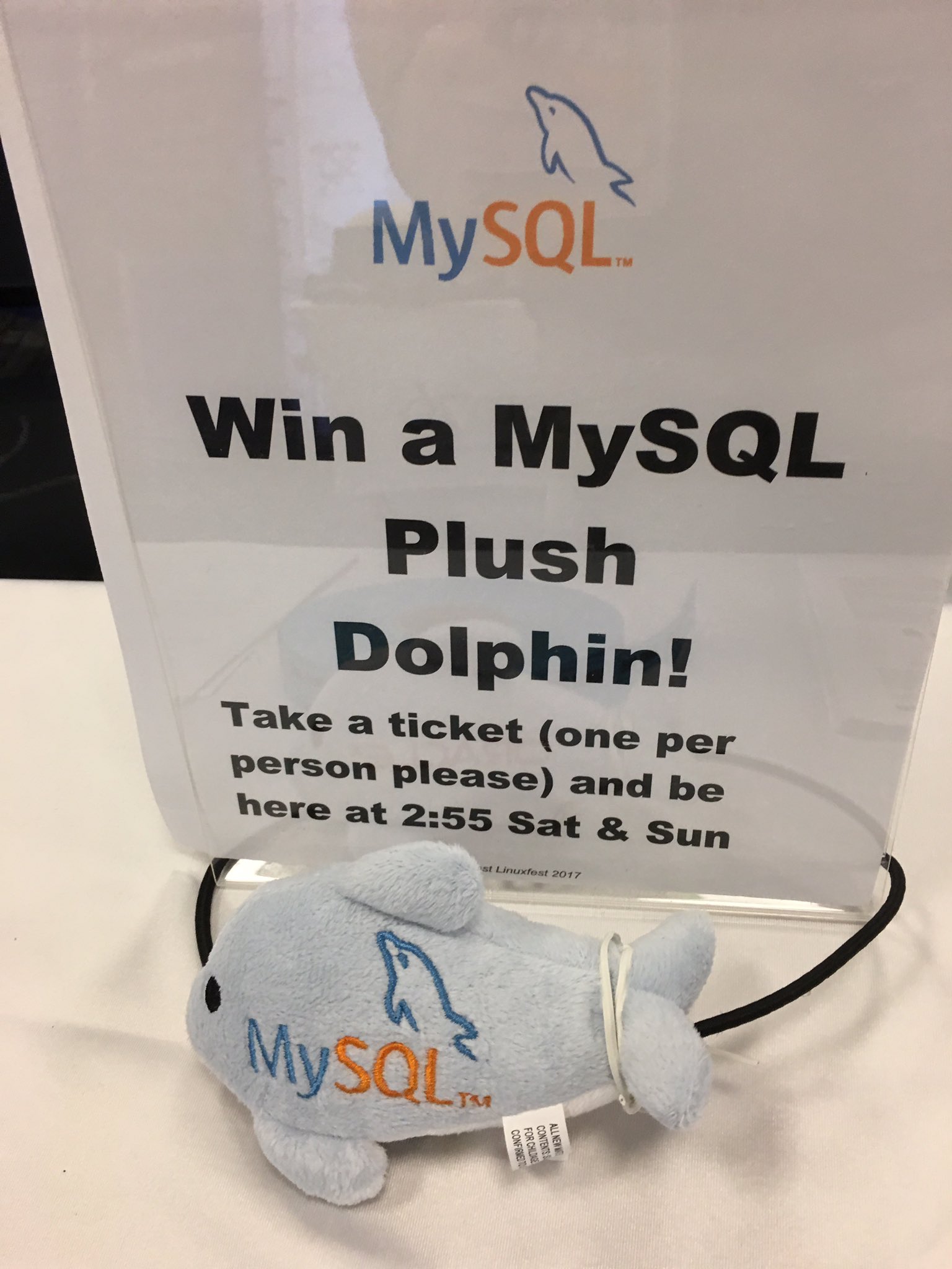 Mysql Dolphin