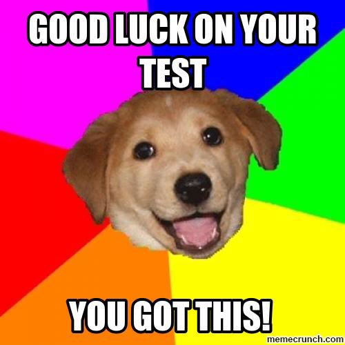 Good Luck Test Memes Good Luck On Your Exam Memes | TikTok