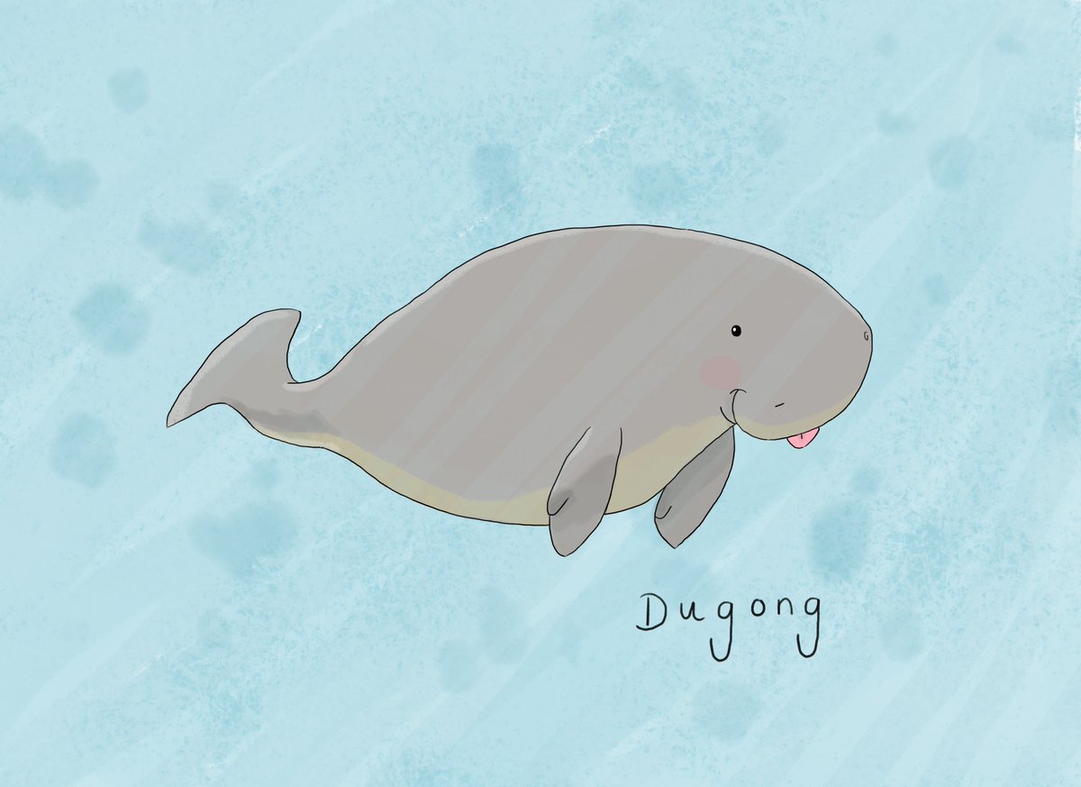 Cute Dugong Drawing