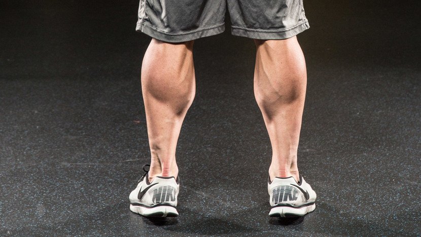 Fix common calf-training blunders and turn your calves into cows ...