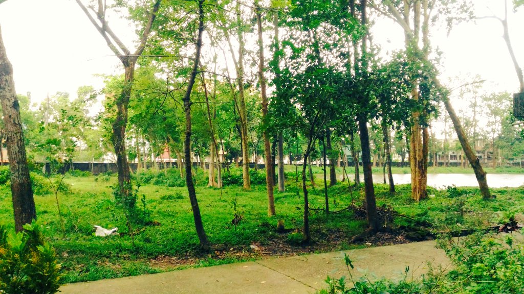 Banasree Roy (@BanasreeBithee) | Twitter