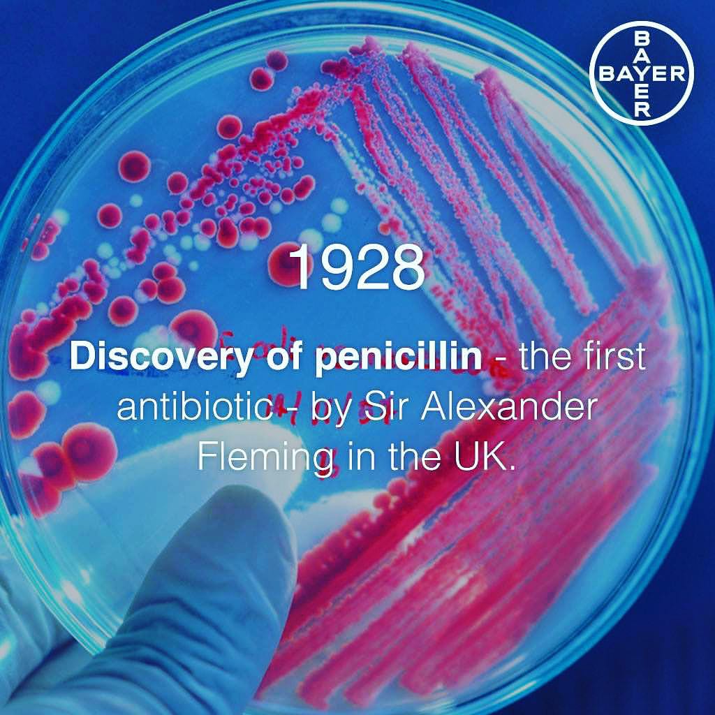 First Penicillin Discovered