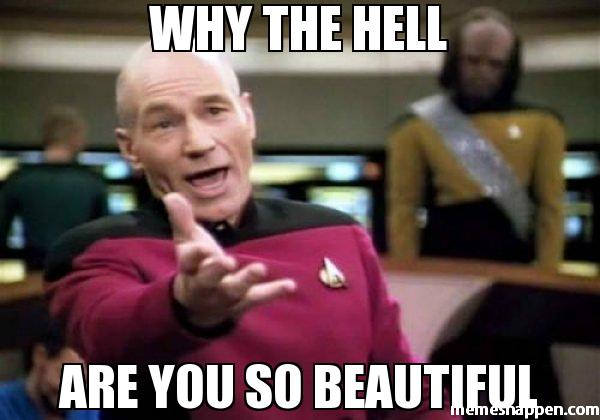 Y U So Beautiful Meme