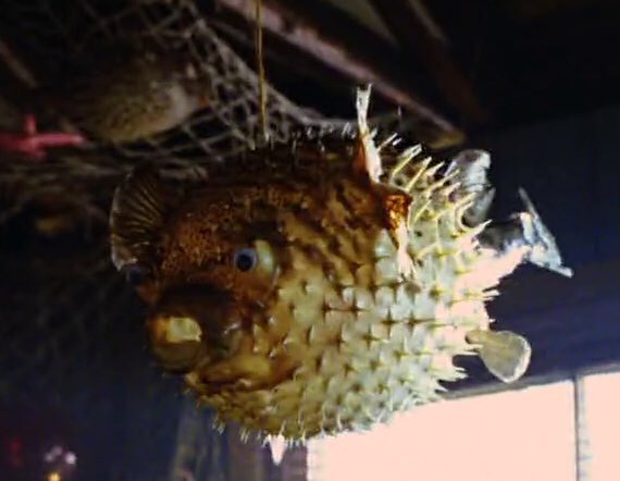 Your insta story is like watching the spongebob movie when patrick and ...