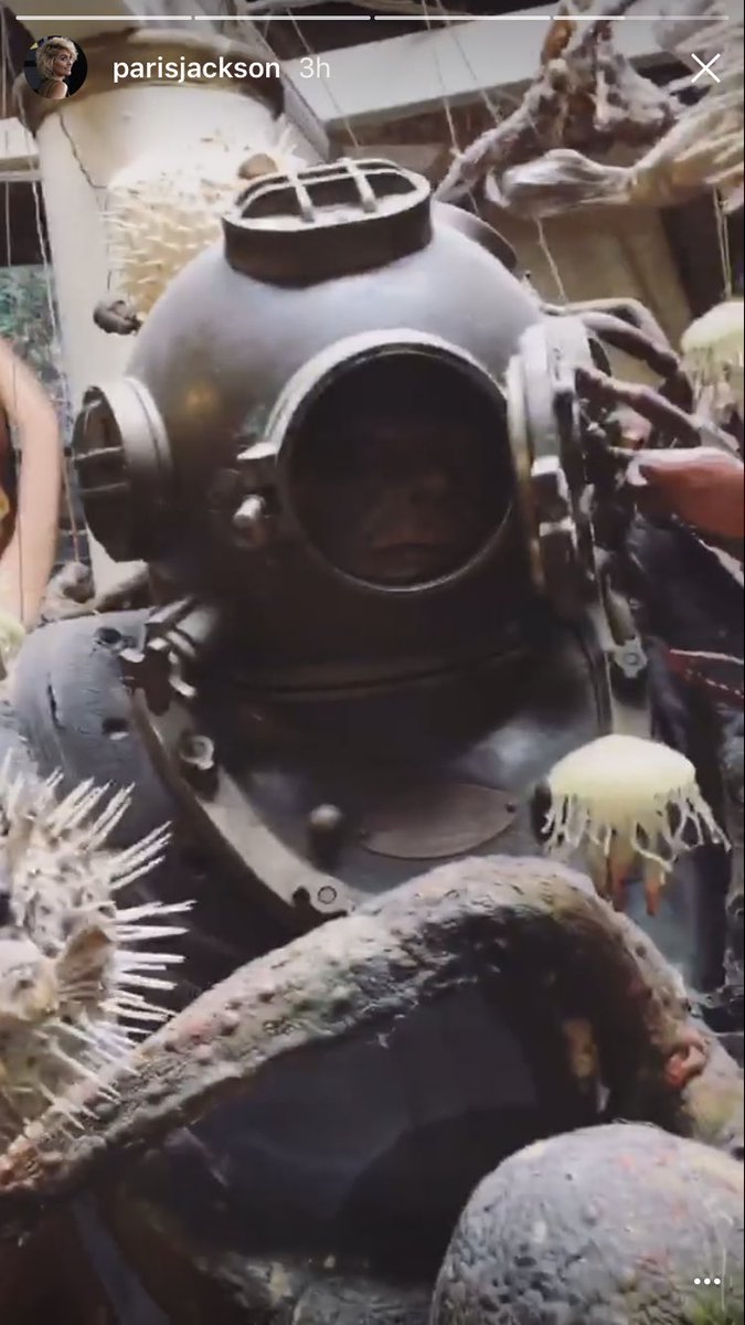 Your insta story is like watching the spongebob movie when patrick and ...