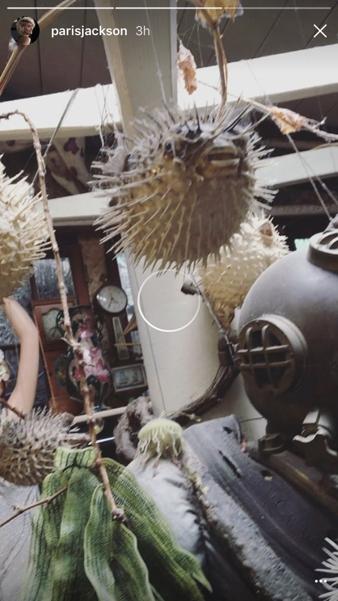 Your insta story is like watching the spongebob movie when patrick and ...