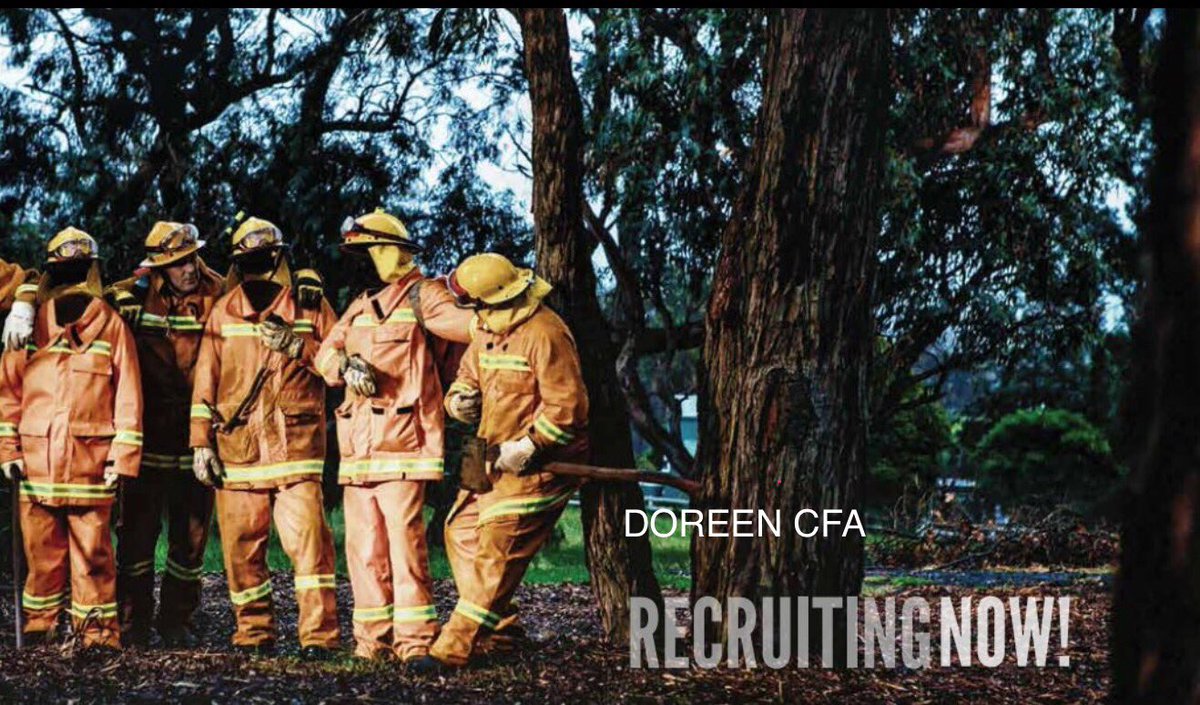 Doreen CFA (@DoreenCFA) | Twitter
