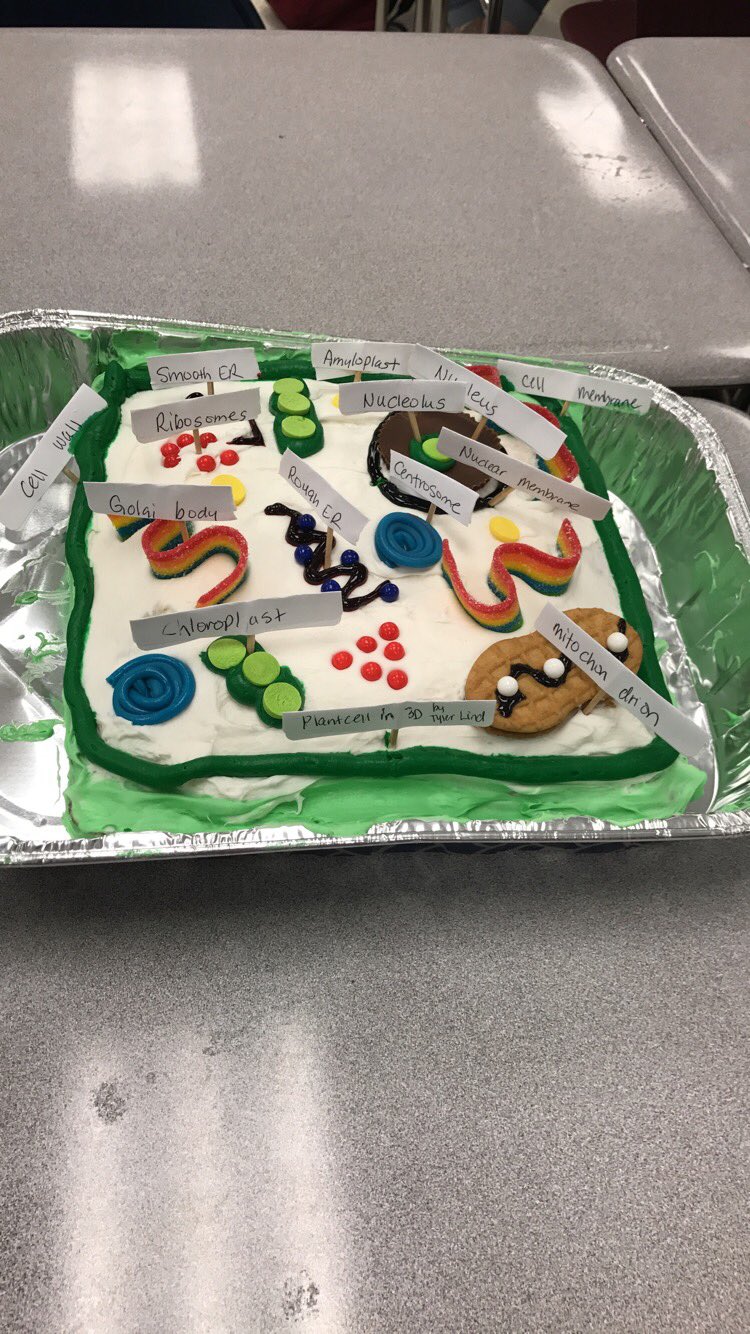 Plant Cell 3d Model Clay