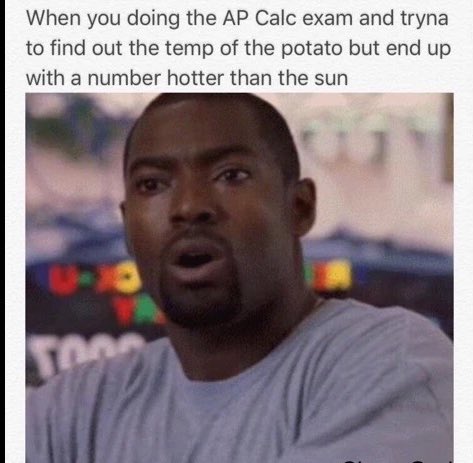 Ap Calculus Memes