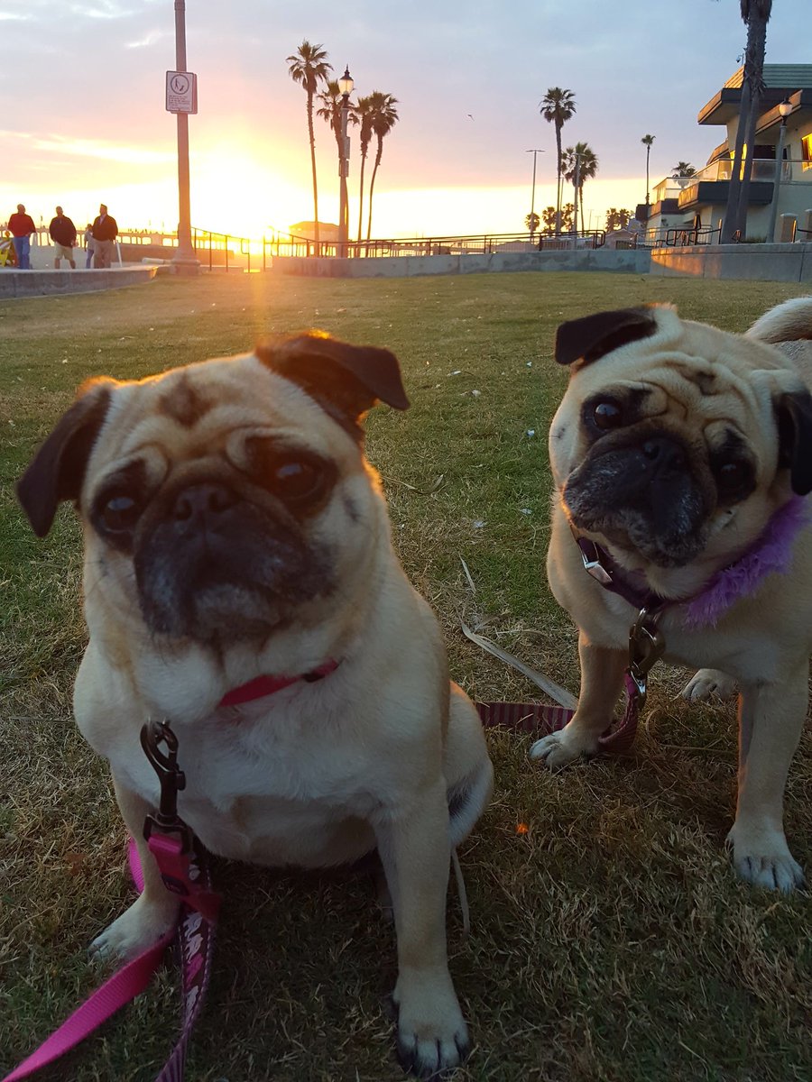 66 best Yuuup images on Pholder | Davethemogul, Emma Rose Kenney and ...