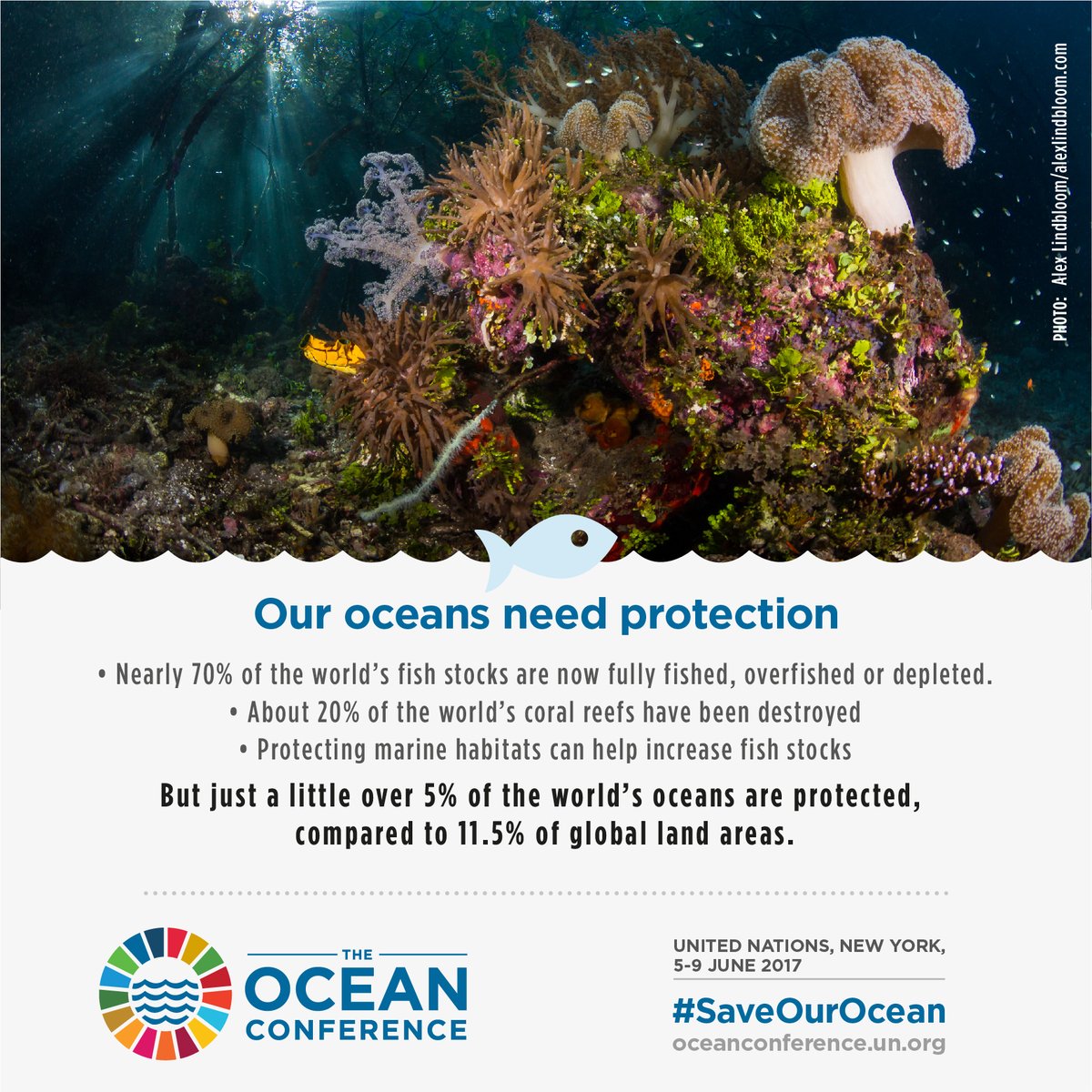 Coral reefs buffer adjacent shorelines from waves and prevent erosion ...