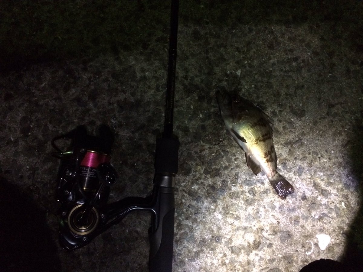 Talurou@FF11odin (@talurou) | Twitter