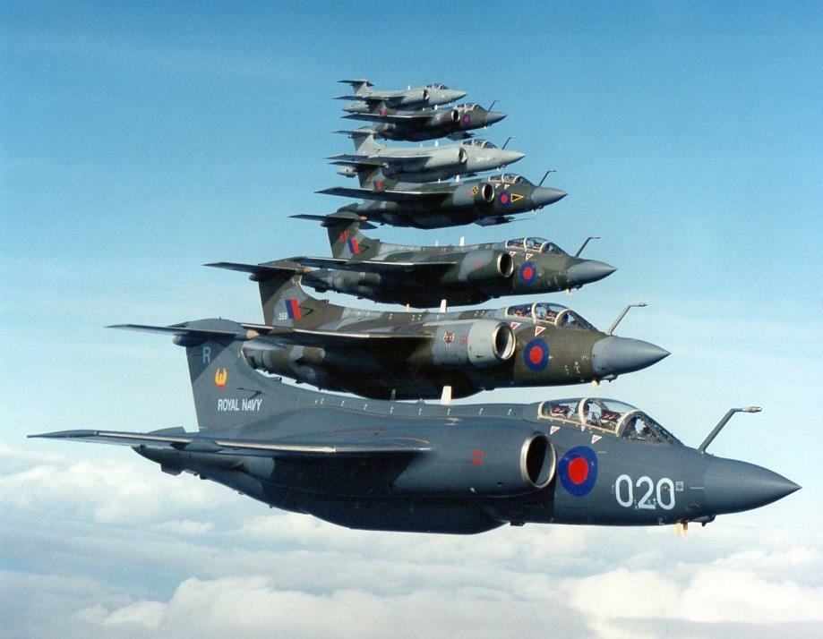 Ron Eisele on Twitter: "Buccaneers…